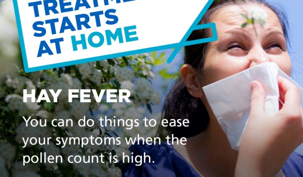 Devon NHS issues hay fever advice as hot weather increases pollen impact | The Exeter Daily